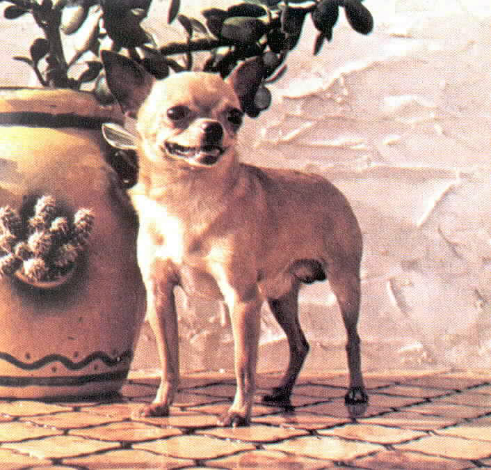 Chapter 5 - What is Evolution? What is Natural Selection?