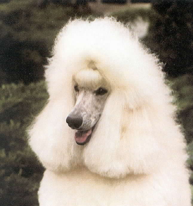 Chapter 5 - What is Evolution? What is Natural Selection?